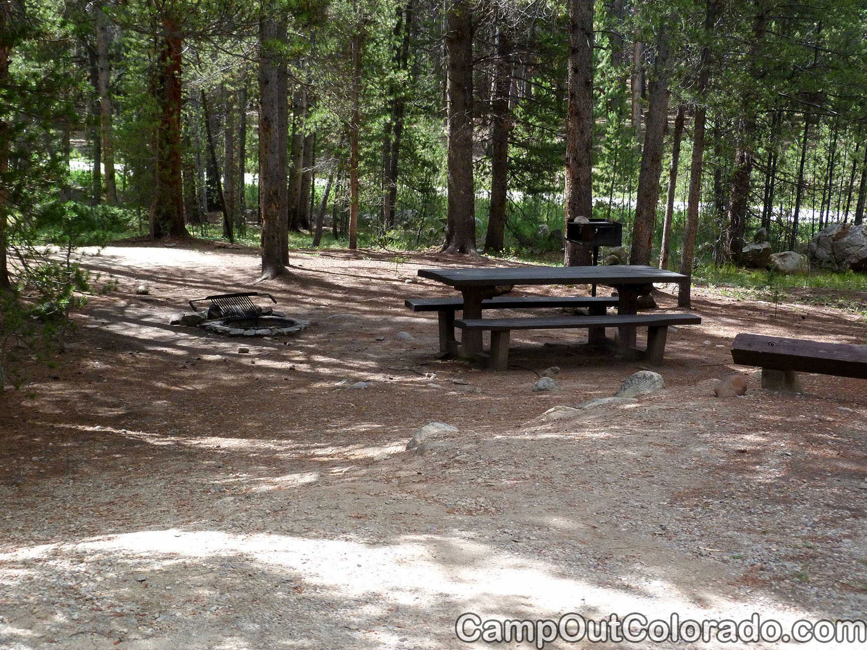 Silver Dollar Campground Camping Review - Camp Out Colorado